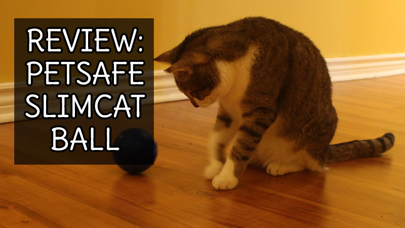 REVIEW: PetSafe Slimcat Interactive Toy and Food Dispenser
