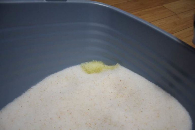 REVIEW: PrettyLitter the Color-Changing Health Monitoring Cat Litter