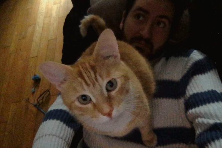 Stevie the Cat Cuddles For 10-Minutes (Cute Cat Video)